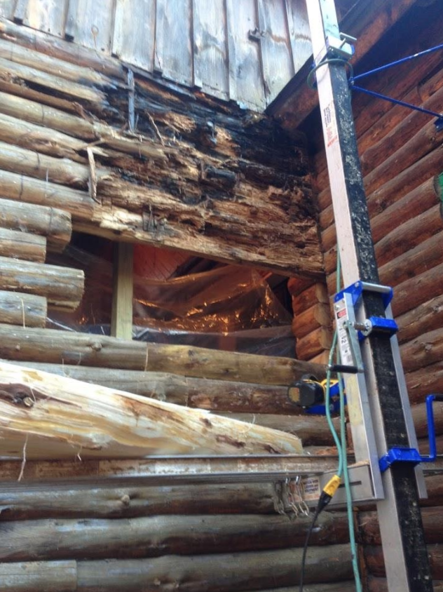 Repair – Log Home Rescue