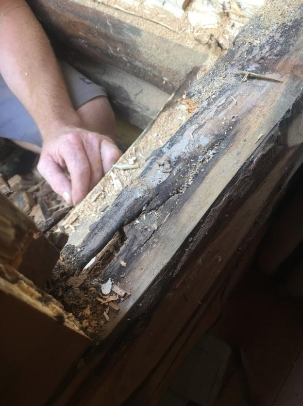 Repair – Log Home Rescue